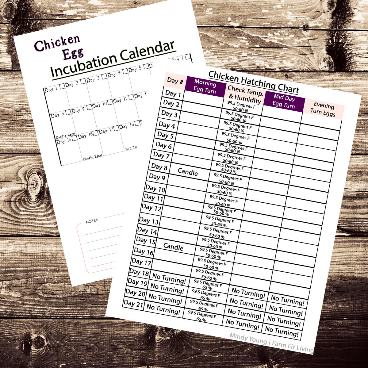 Live Egg Incubation Chart Artificial Incubation Egg Monitoring Chart